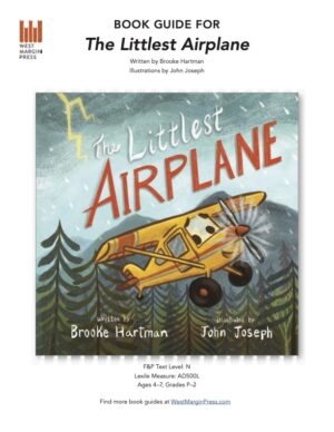 The Littlest Airplane ⋆ Brooke Hartman Books